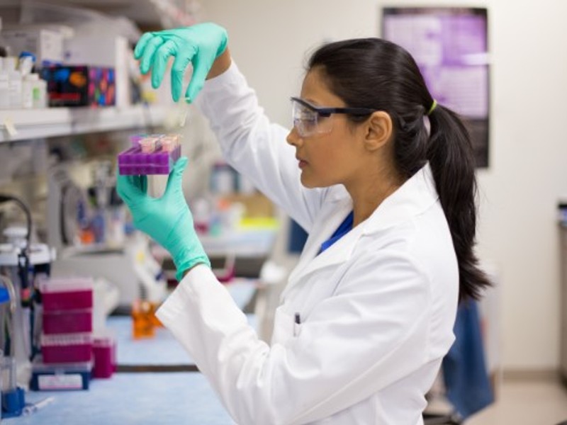 Norway provides NOK 36 million additional funding to CEPI in response ...